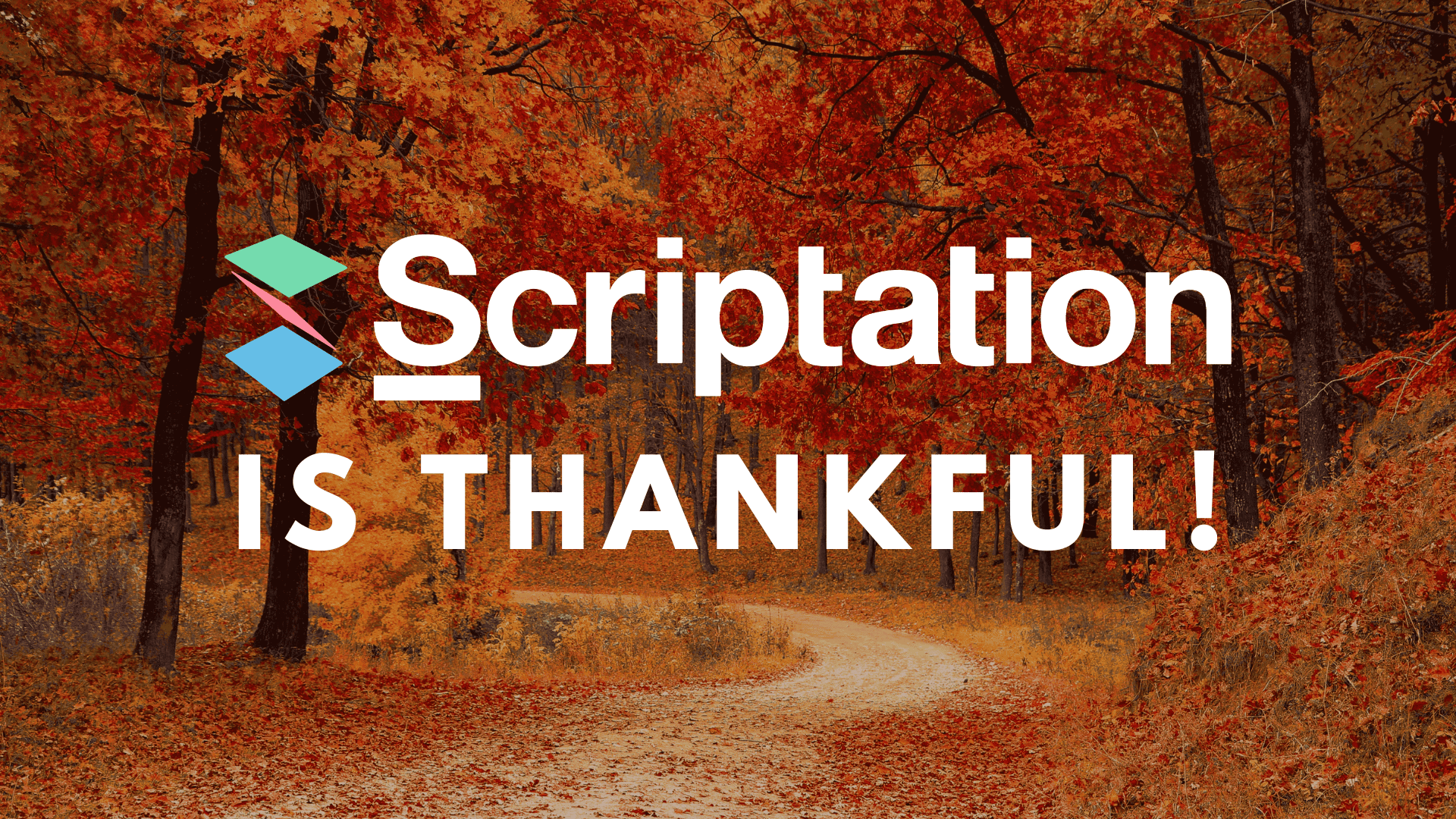 Scriptation in 2024!